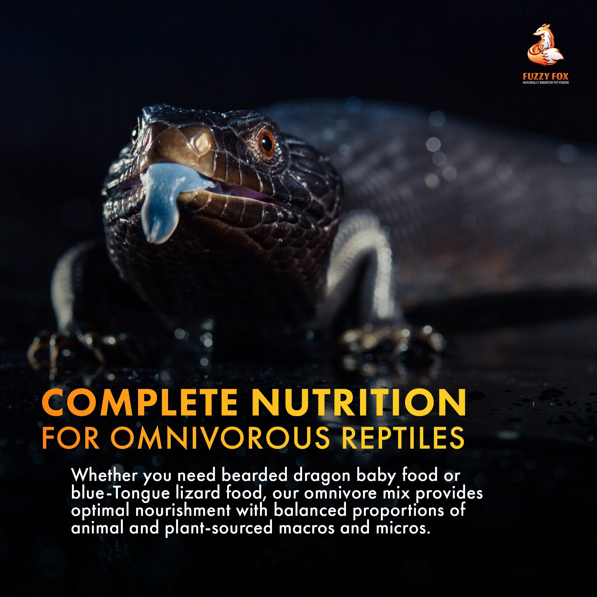 Omnivore Gel Pre-mix 200g | Omnivore Reptile Food – Fuzzy Fox Naturally ...